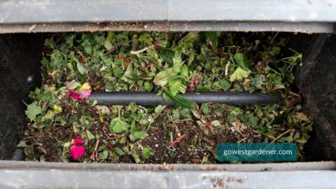 What to Do With Old Potting Soil (the Dirt From Your Flower Pots)