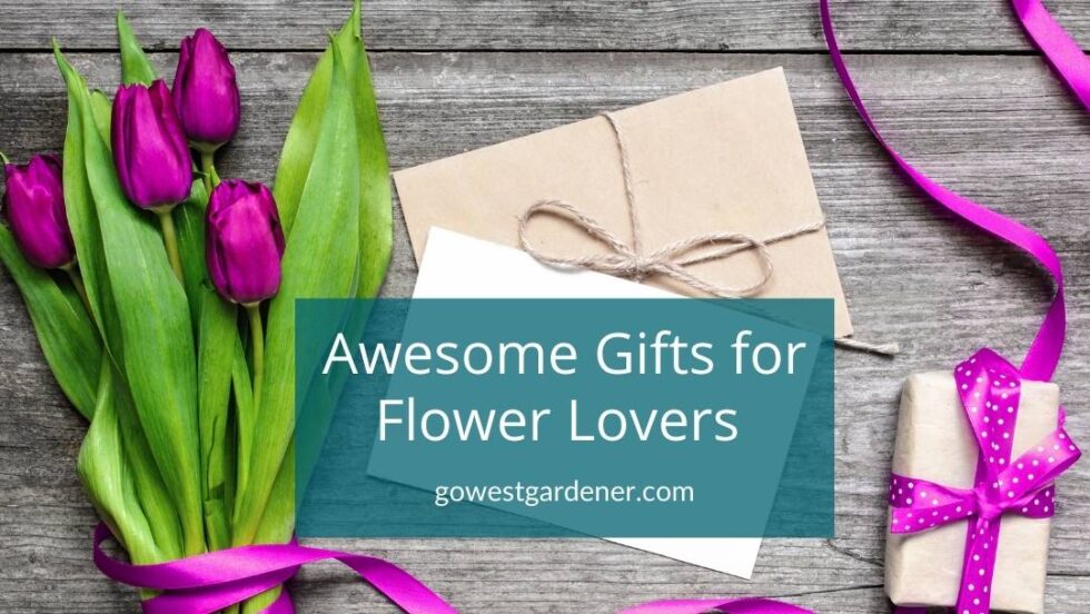11 Fun Gifts for Flower Lovers 2024 (That They'll Looooove!)